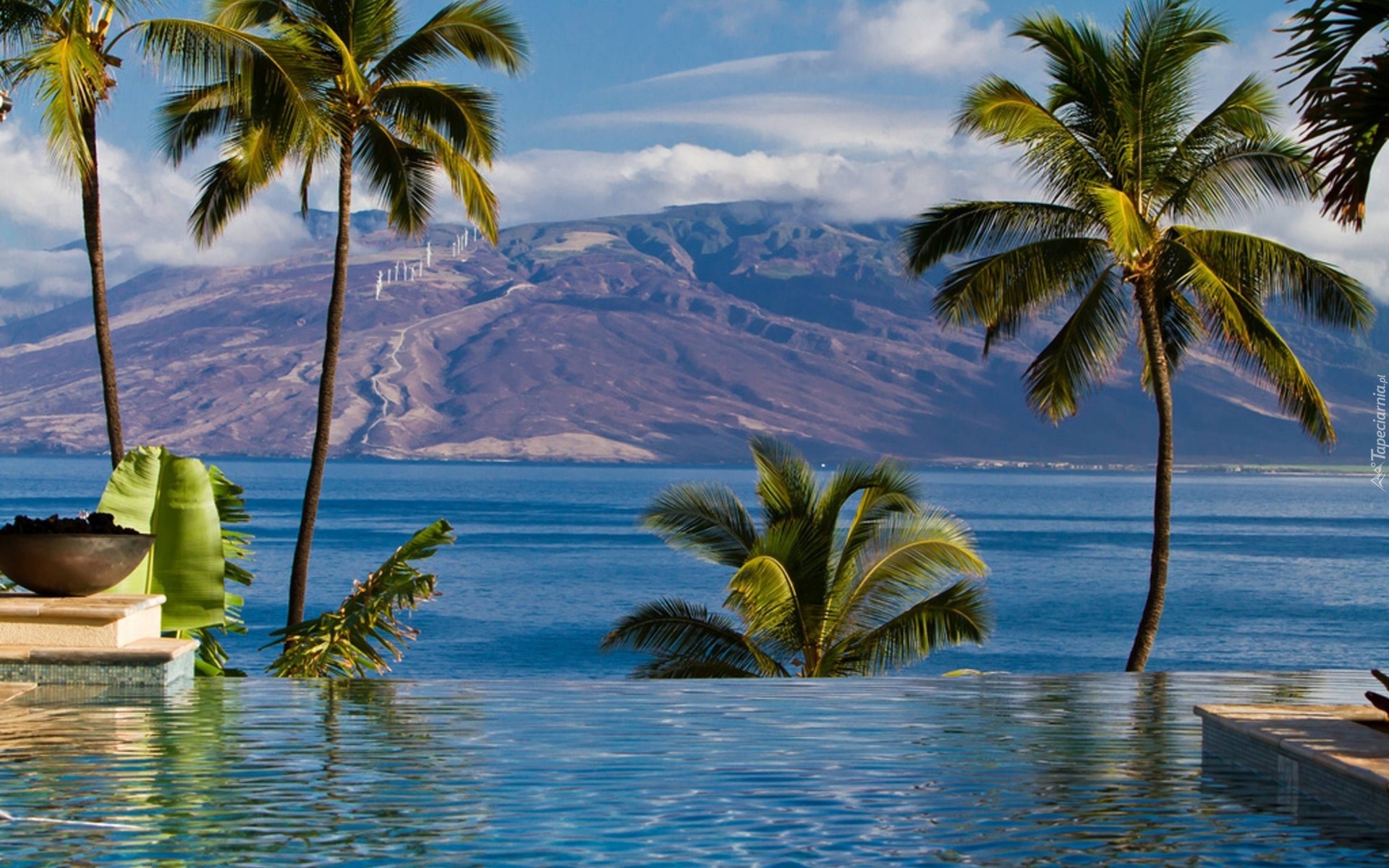 Хавай, АНУ-ын аялал | Tapatrip.com | Tapa.mn, Flights, Cheap Flights ...